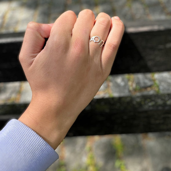 Beautiful Alpha Omicron Pi Ring | Perfect Sorority Gift